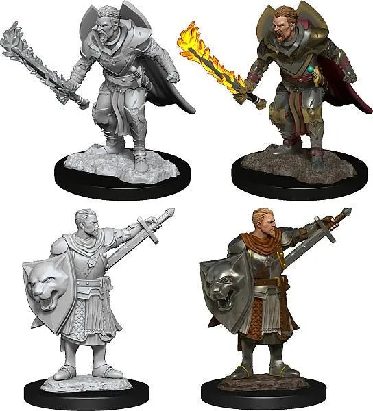 Pathfinder Battles-Male Human Champion – Wandering Adventures